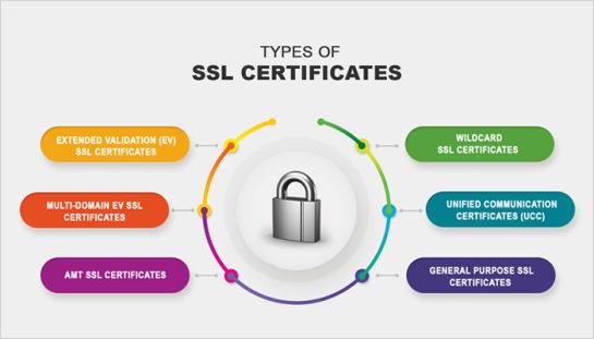SSL Certificates Explained: Why Your Website Needs HTTPS in 2025 - Host ...